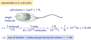 » Order-of-Magnitude Biology Toolkit