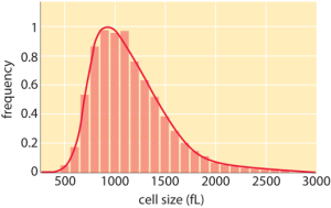 » How big is a human cell?