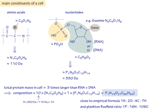 » What is the elemental composition of a cell?