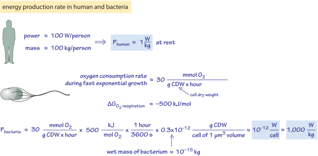 » What is the power consumption of a cell?