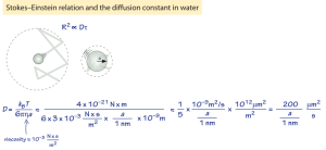 » What are the time scales for diffusion in cells?