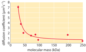 » What are the time scales for diffusion in cells?