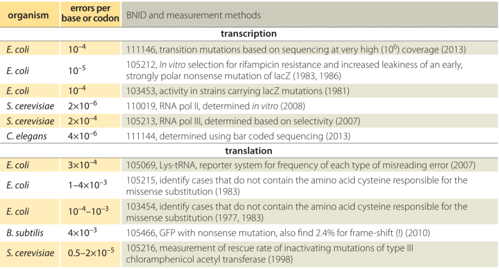 » What is the error rate in transcription and translation?