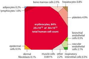 » How many cells are there in an organism?