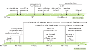 » Rates and Durations – Introduction